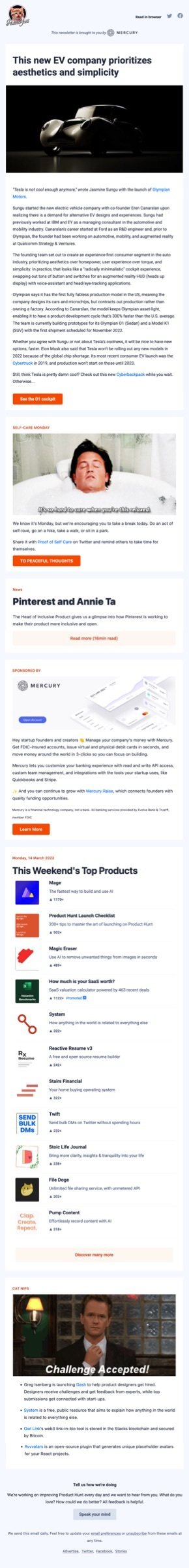 11 Business Newsletter Examples - EverywhereMarketer