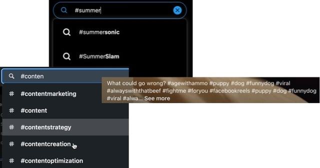 How to Find the Best Hashtags for Business Growth - EverywhereMarketer