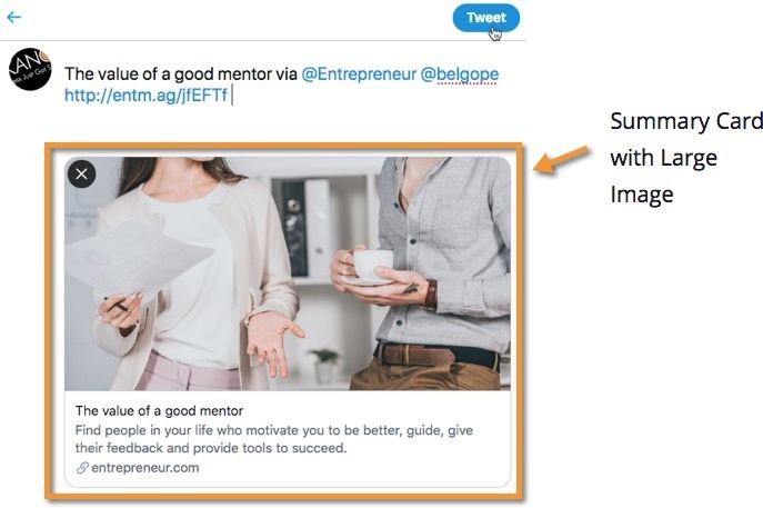 How to Use X Cards to Amplify Your Content - EverywhereMarketer
