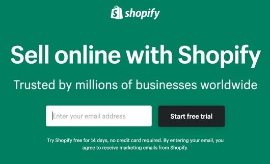 11 Lead Magnet Examples to Use for Your Business - EverywhereMarketer