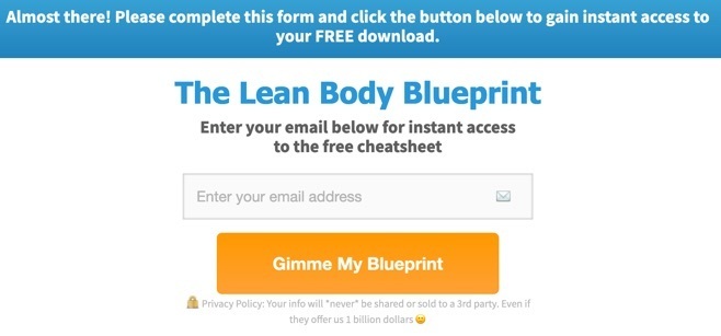 11 Lead Magnet Examples to Use for Your Business - EverywhereMarketer
